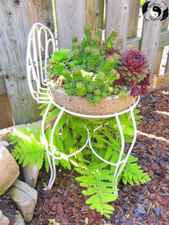 24 Easy and Creative DIY Succulent Planter Ideas