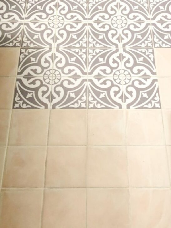 4 Ways To Cover Up Dated Bathroom Tile(No Demo Needed)